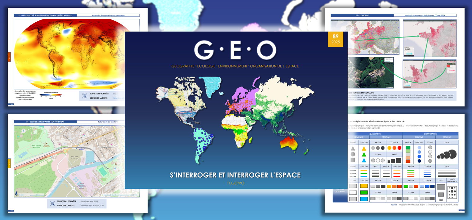 GEO 89 • S'INTERROGER ET INTERROGER L'ESPACE - FEGEPRO